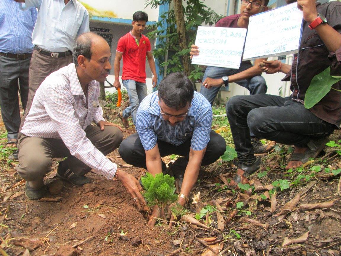 Faculties planting saplings